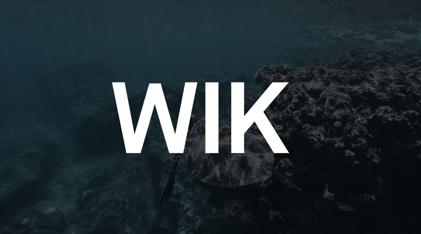 WIK Group Global Rebranding – EVOLVCRAFT